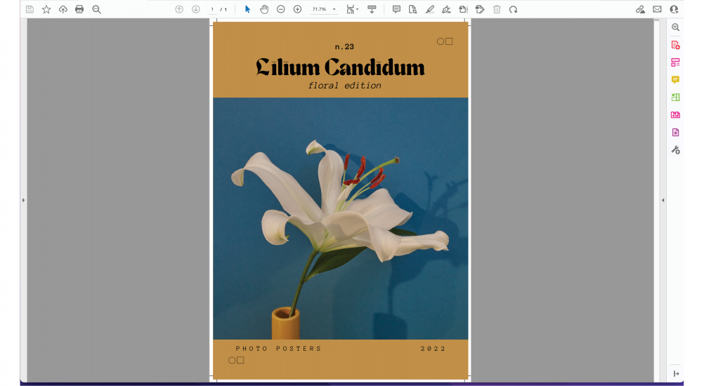 How To Add Bleed And Crop Lines In Canva Little Print